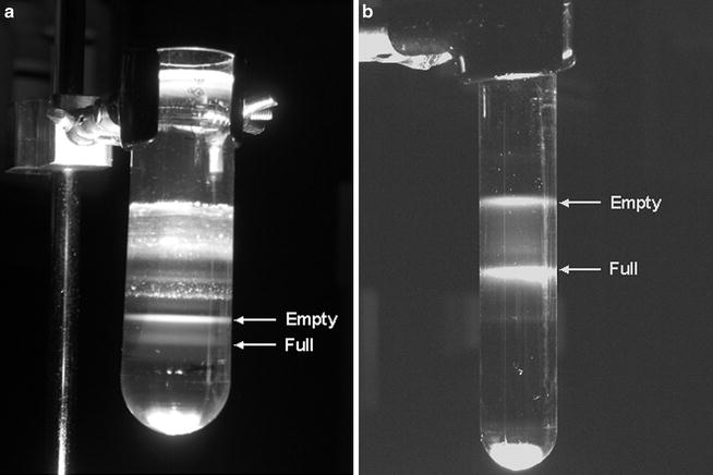 Manufacturing of Adeno-Associated Viruses, for Example: AAV2 | SpringerLink