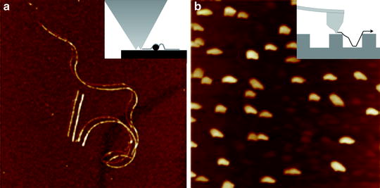 Recognizing and Avoiding Artifacts in Atomic Force Microscopy Imaging ...
