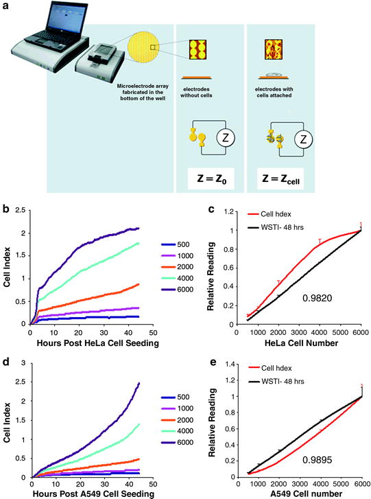 The xCELLigence System for Real-Time and Label-Free Monitoring of Cell ...