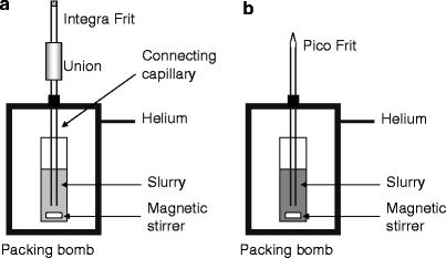Nano LC–MS/MS: A Robust Setup for Proteomic Analysis | SpringerLink