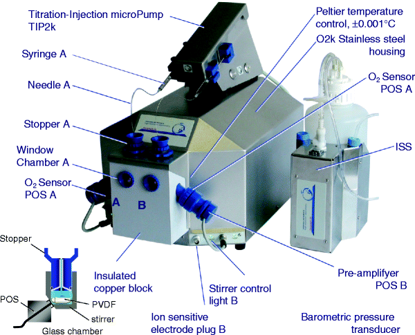 High-Resolution Respirometry: OXPHOS Protocols for Human Cells and ...