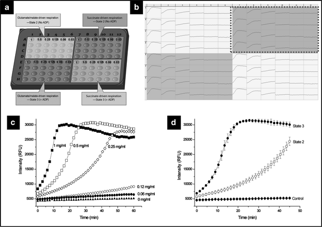 High-Throughput Analysis of Mitochondrial Oxygen Consumption | SpringerLink