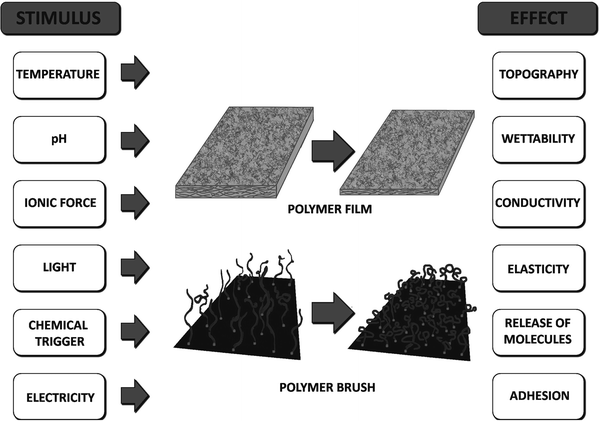 Stimuli Responsive Polymers for Nanoengineering of Biointerfaces | SpringerLink