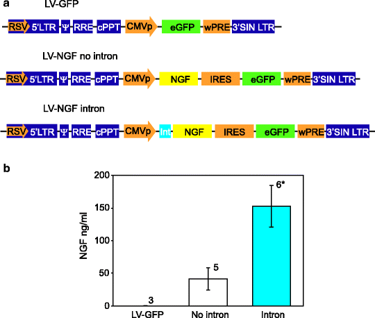 Using Lentiviral Vectors as Delivery Vehicles for Gene Therapy | SpringerLink