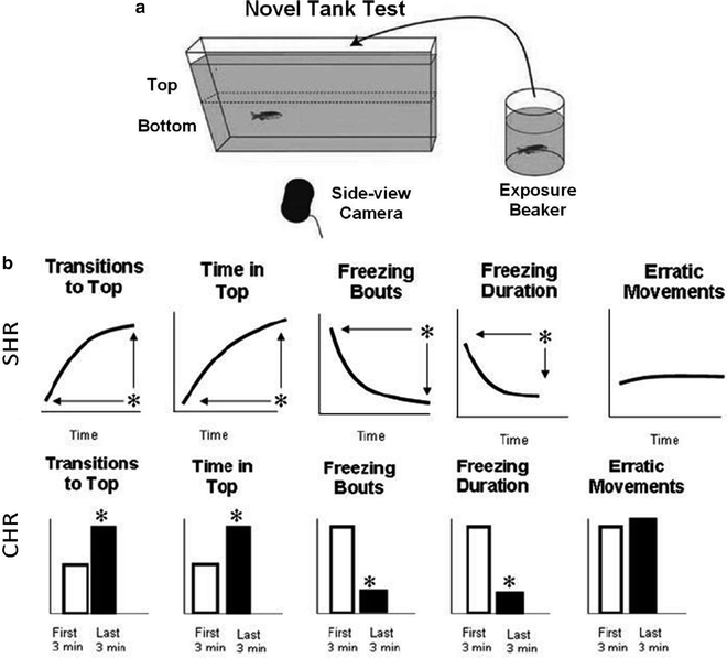 Assessing Habituation Phenotypes in Adult Zebrafish: Intra- and Inter ...