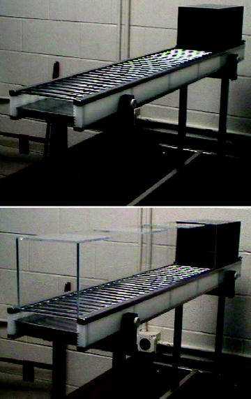 Basso, Beattie, and Bresnahan Scale Locomotor Assessment Following ...