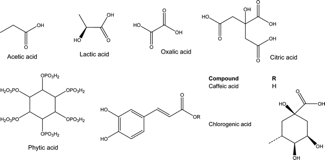 Composition of Cacao Beans | SpringerLink