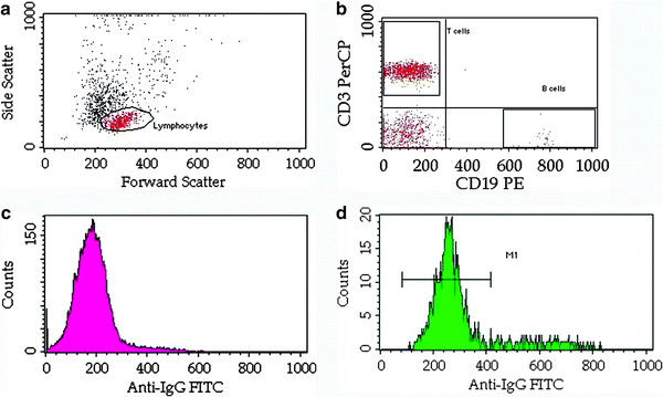 The Lymphocyte Crossmatch by Flow Cytometry for Kidney Transplantation ...