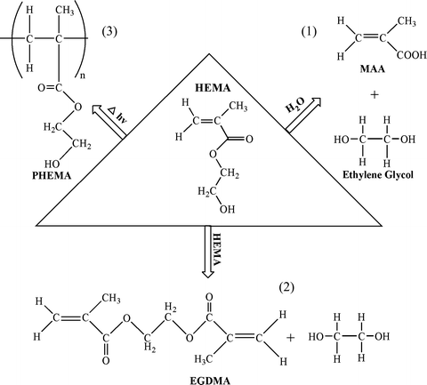 Synthesis of Poly (2-Hydroxyethyl Methacrylate) (PHEMA) Based ...