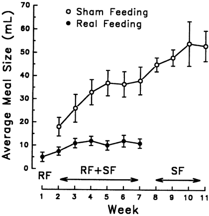 Sham Feeding in Rats Translates into Modified Sham Feeding in Women ...