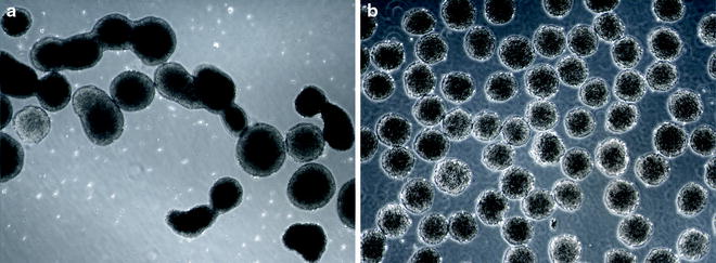Techniques in Embryoid Body Formation from Human Pluripotent Stem Cells ...