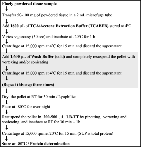 Rice Proteomic Analysis: Sample Preparation for Protein Identification ...