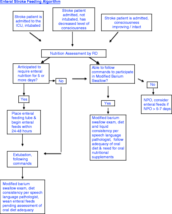 Enteral Access | SpringerLink