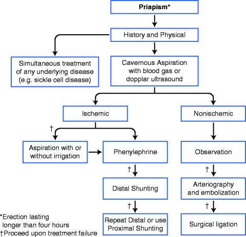Priapism | SpringerLink