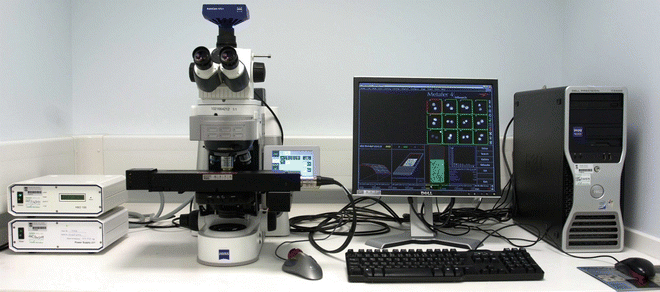 The In Vitro Micronucleus Assay and Kinetochore Staining: Methodology ...