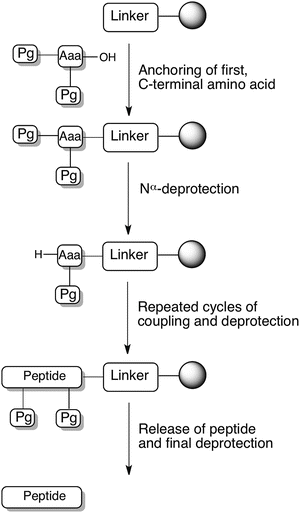 Solid-Phase Peptide Synthesis: An Introduction | SpringerLink
