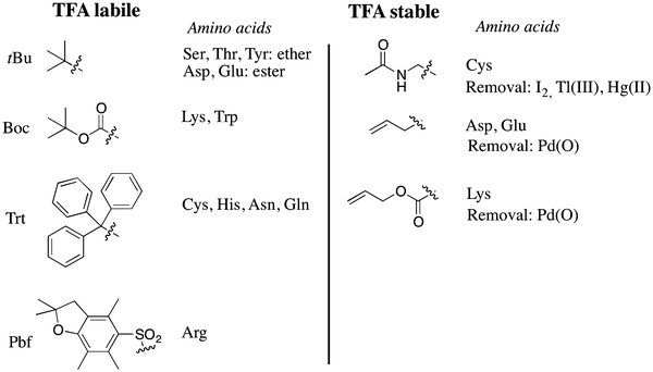 Solid-Phase Peptide Synthesis: An Introduction | SpringerLink