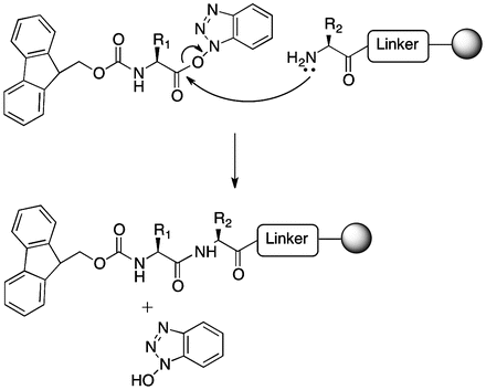 Solid-Phase Peptide Synthesis: An Introduction | SpringerLink
