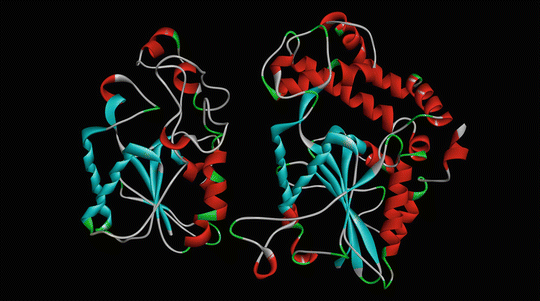 Structure of Acid Phosphatases | SpringerLink