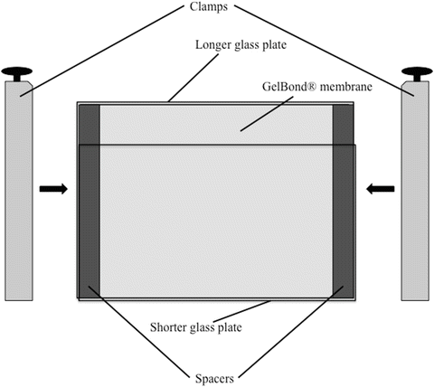 Denaturing Gradient Gel Electrophoresis (DGGE) | SpringerLink