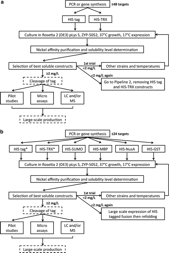 High-Throughput Expression Screening and Purification of Recombinant ...
