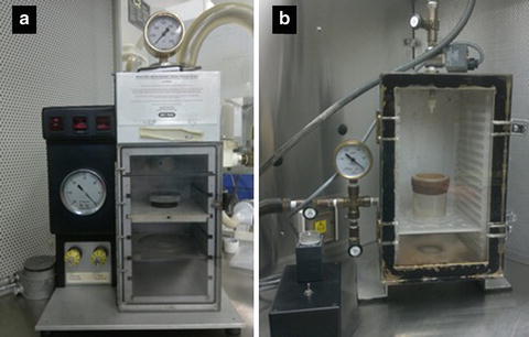 Sorghum Genetic Transformation by Particle Bombardment | SpringerLink