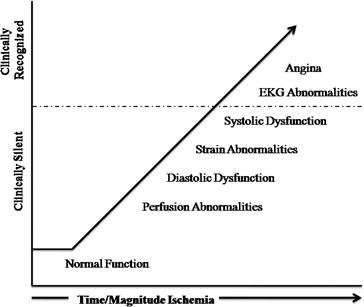 The “Ischemic Cascade” | SpringerLink