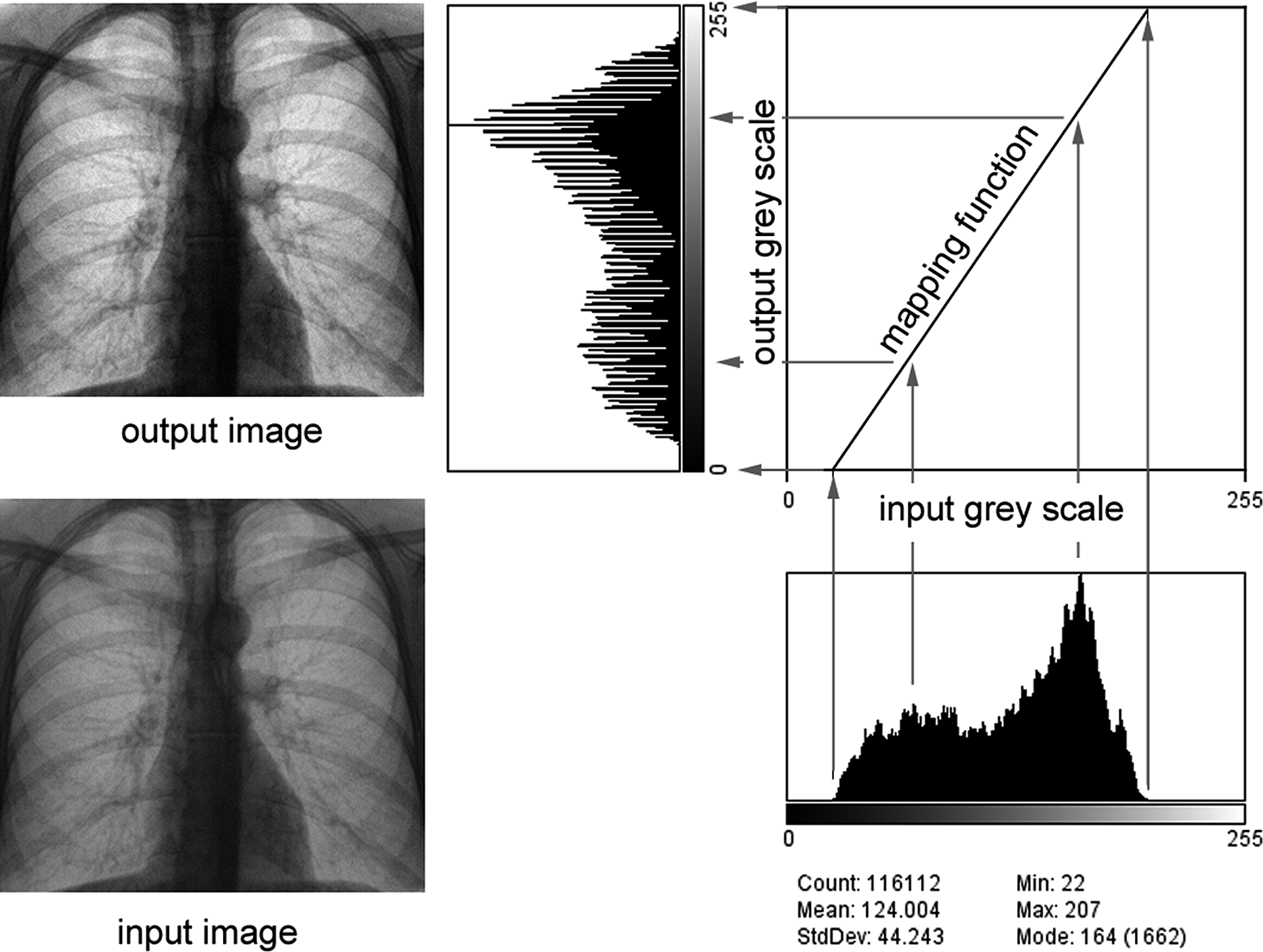 Contrast Adjustment | SpringerLink