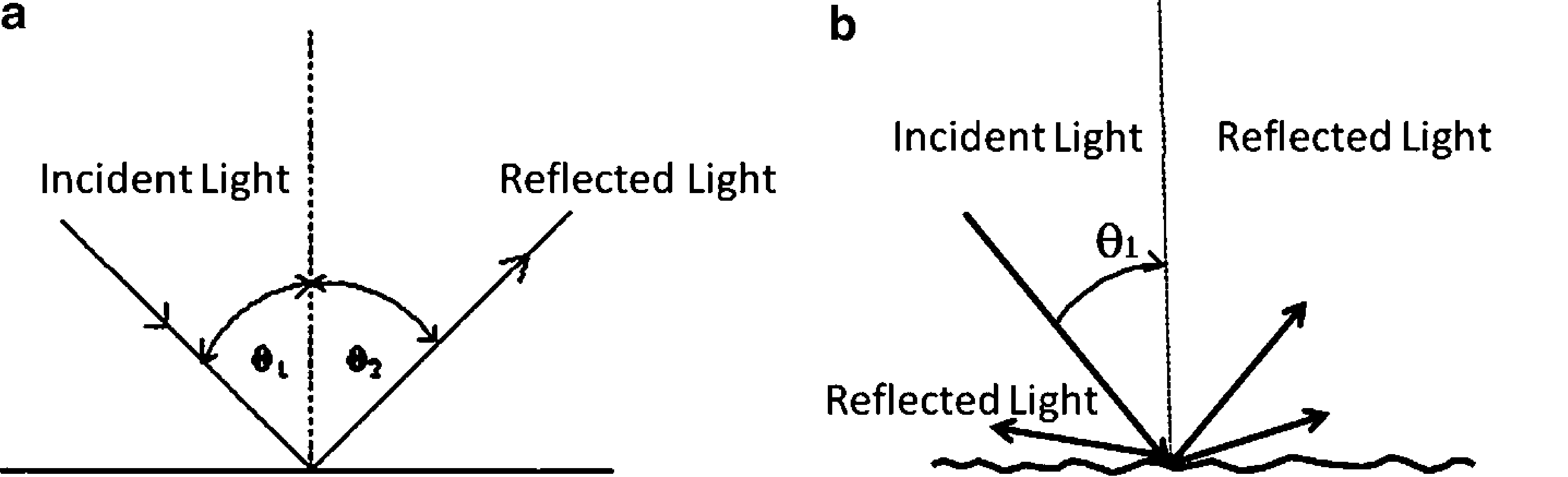 Principles of Light-Skin Interactions | SpringerLink