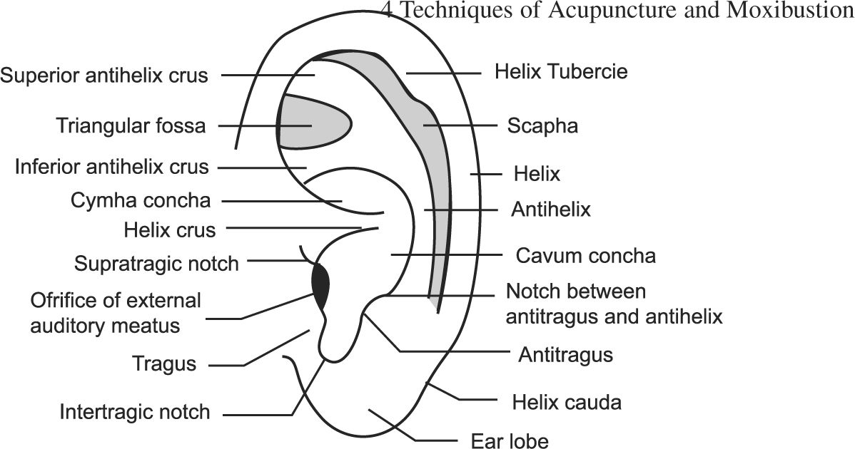 Techniques of Acupuncture and Moxibustion | SpringerLink
