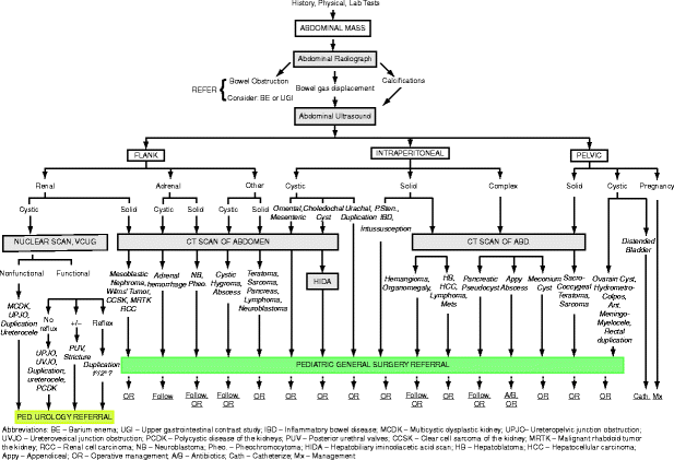 Approach to Abdominal Masses | SpringerLink