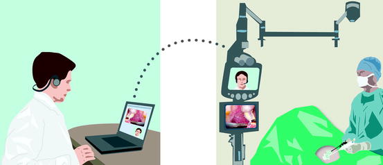 History of Telesurgery | SpringerLink