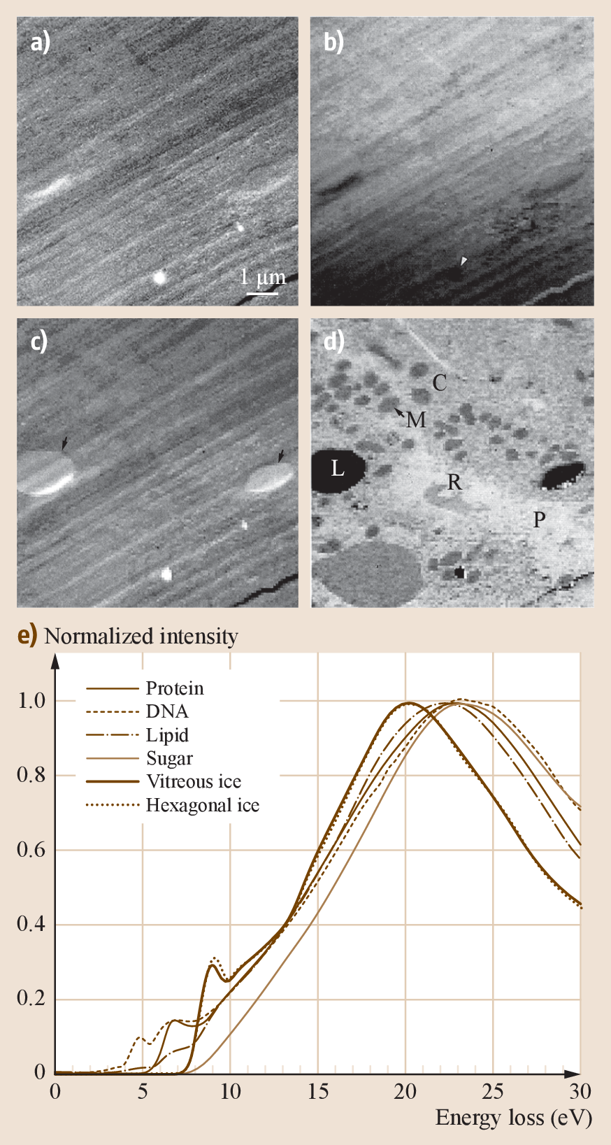 Analytical Electron Microscopy | SpringerLink