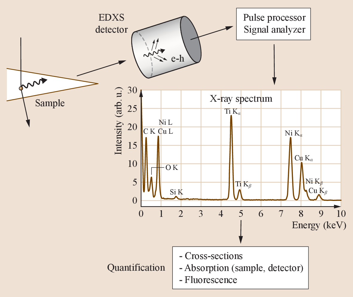 Analytical Electron Microscopy | SpringerLink