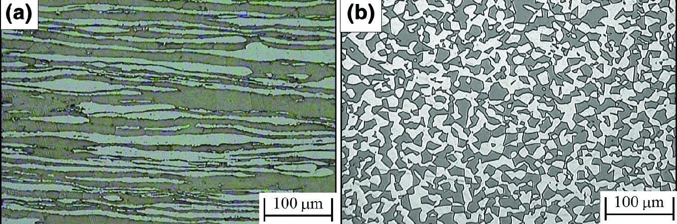 Comparison Between Hot Rolled and PM/HIP Processed Duplex Stainless ...