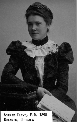 Married for Science, Divorced for Love: Success and Failure in the ...