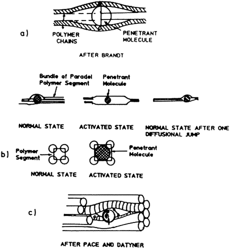Fundamentals of Gas Permeation Through Membranes | SpringerLink