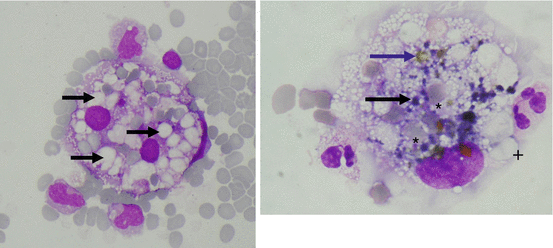 Cell Count and Staining | SpringerLink