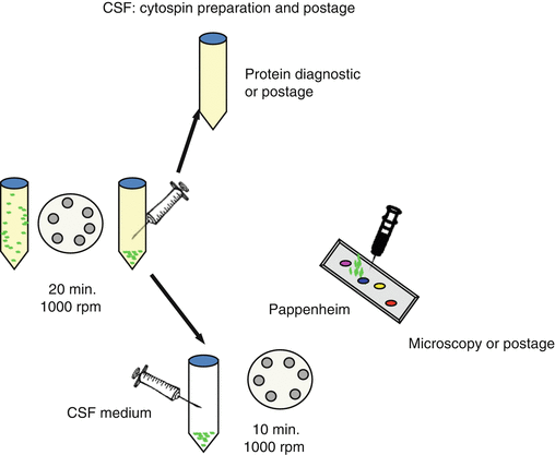 Cell Count and Staining | SpringerLink