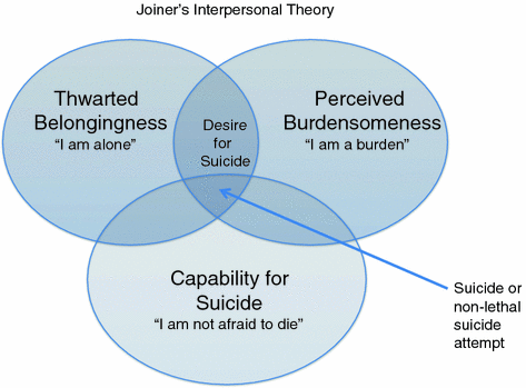 What Drove Her to Do It? Theories of Depression and Suicide | SpringerLink