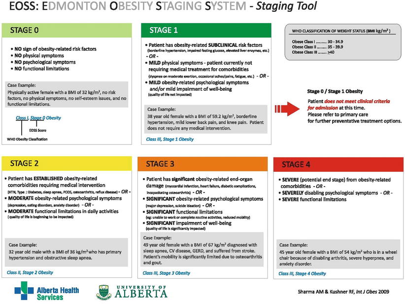 Preoperative Risk Scoring Systems in Bariatric Surgery | SpringerLink