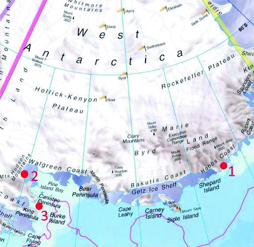 Soils of Marie Byrd Land | SpringerLink