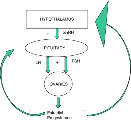 Physiology of Ovulation | SpringerLink