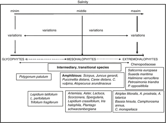 Halophyte Definitions and Classifications | SpringerLink
