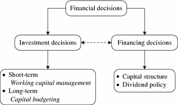 Introduction to Financial Decision Making | SpringerLink