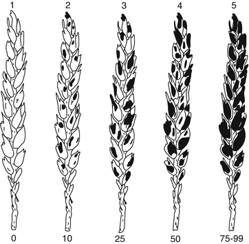 Disease Appraisal Scales | SpringerLink