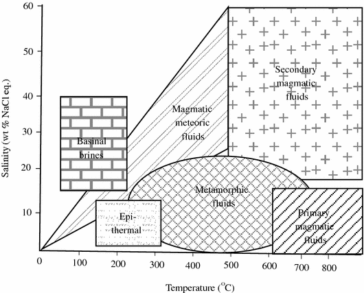 Hydrothermal Fluids of Magmatic Origin | SpringerLink