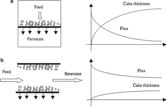 Fundamentals on Adsorption, Membrane Filtration, and Advanced Oxidation ...