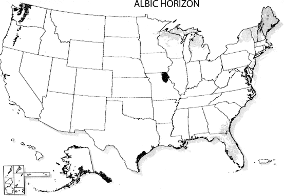 Albic Horizon | SpringerLink