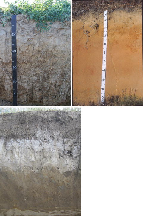 Argillic, Kandic, and Natric Horizons | SpringerLink